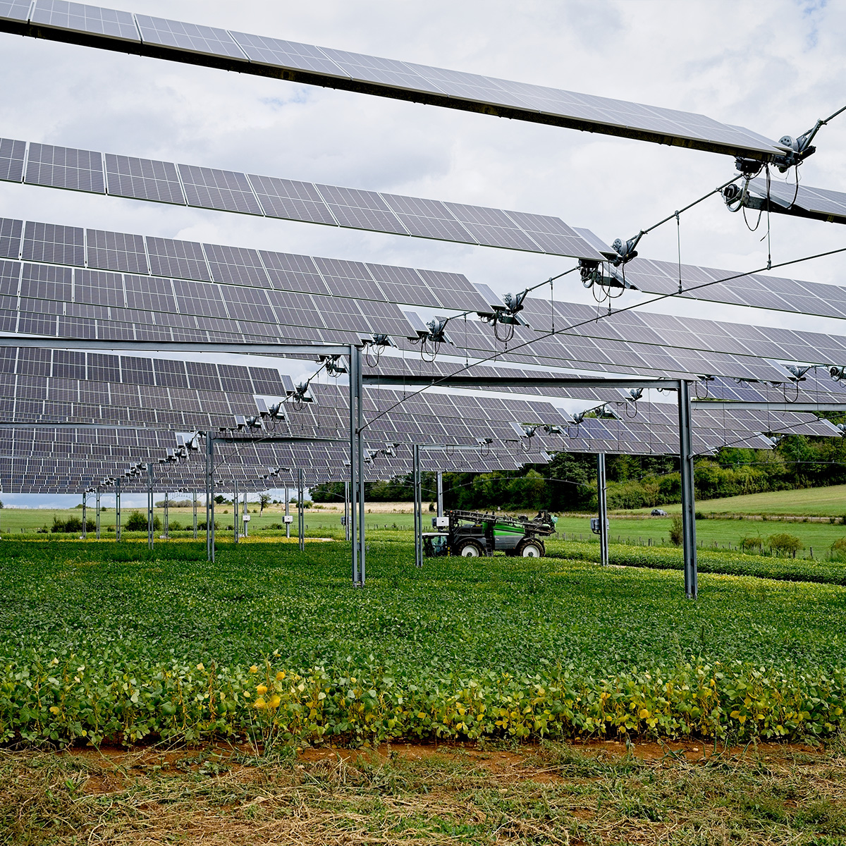 Con Iren arriva a Rovigo il primo grande impianto agrivoltaico avanzato ...